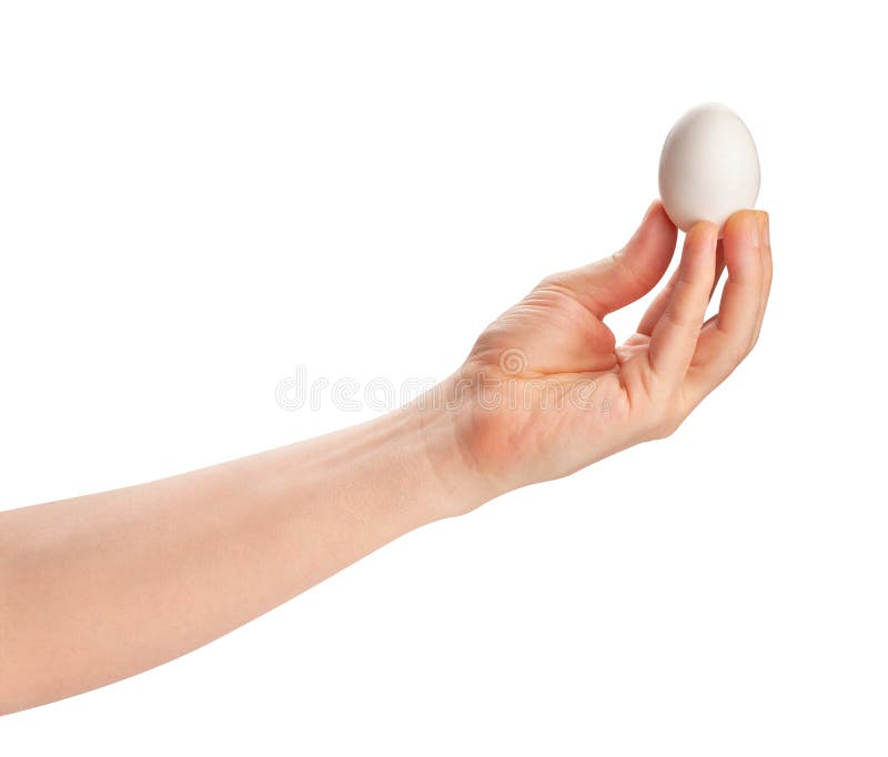 Egg in hand path isolated stock photo. Image of fresh - 316551848