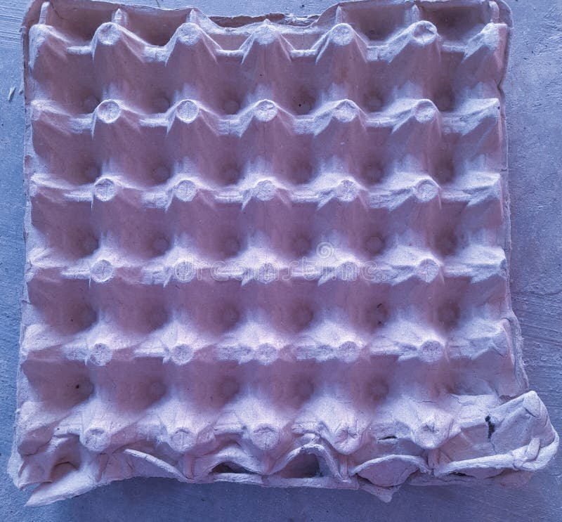 309 Cardboard Egg Holder Stock Photos - Free & Royalty-Free Stock ...