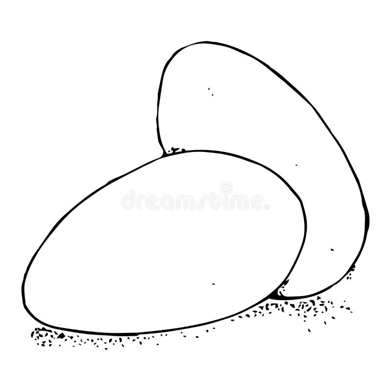 Egg Icon. Vector of an Egg. Hand Drawn Sketch Eggs Stock Vector ...