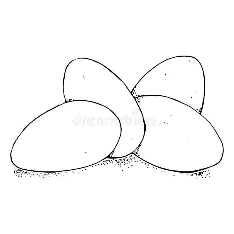 Egg Icon. Vector of an Egg. Hand Drawn Sketch Eggs Stock Vector ...