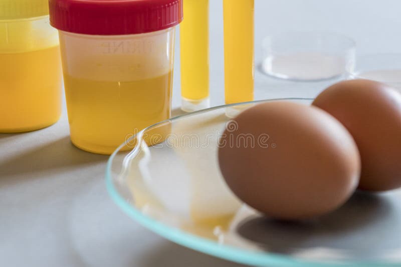 184 Easter Egg Laboratory Stock Photos - Free & Royalty-Free Stock ...