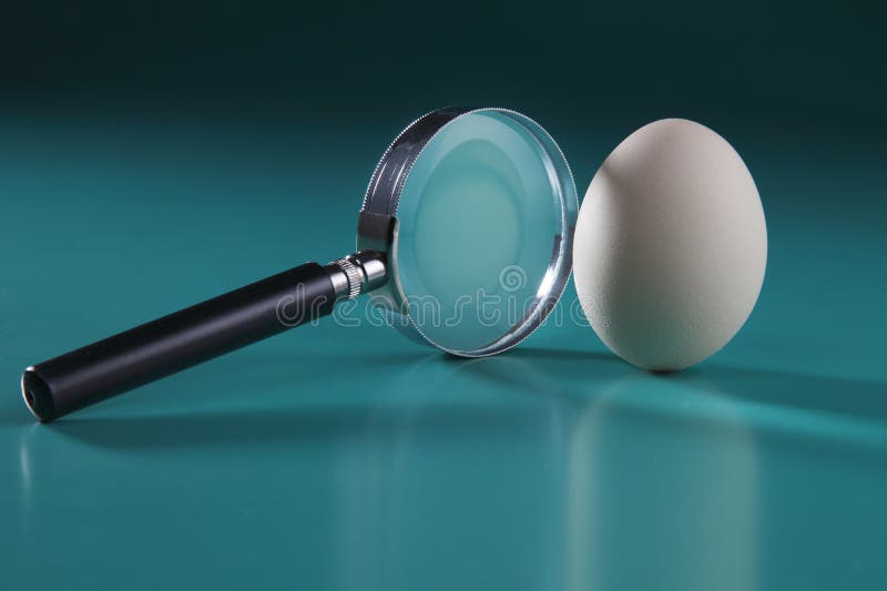 429 Magnifying Glass Egg Stock Photos - Free & Royalty-Free Stock ...