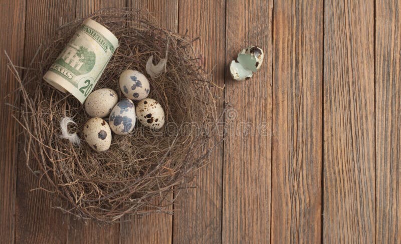 Nest egg with money stock image. Image of currency, nest - 29635731