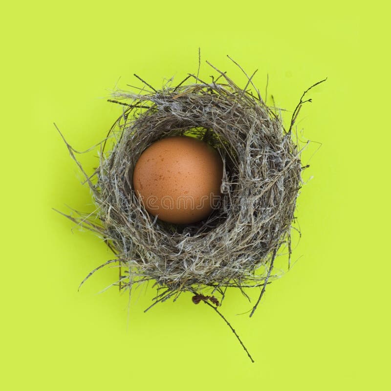 Egg in a real nest stock image. Image of traditional, multi - 9076061