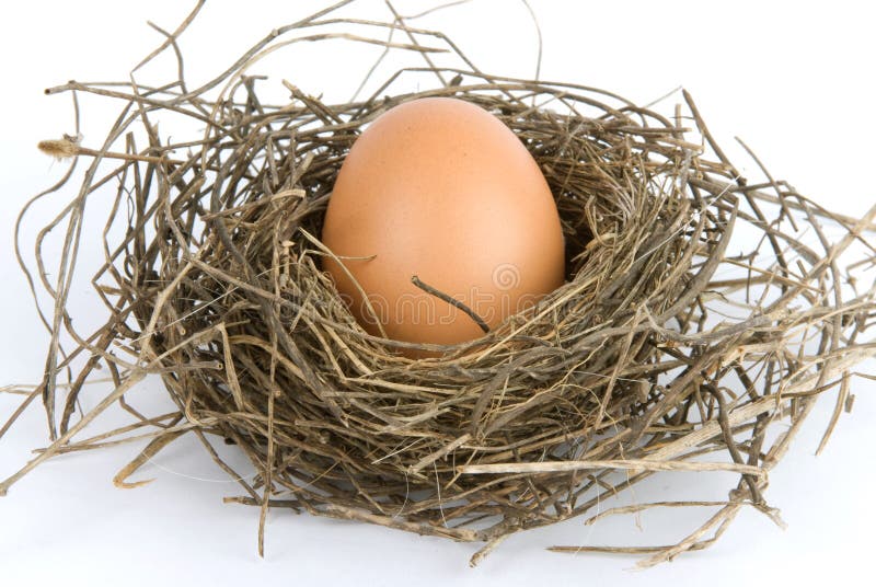 Egg in nest stock photo. Image of business, lonesome, alone - 9975918