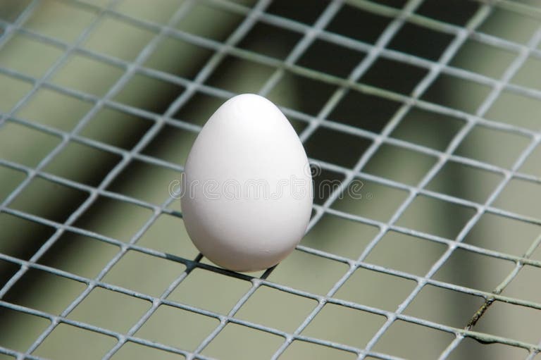 957 Mesh Egg Stock Photos - Free & Royalty-Free Stock Photos from ...