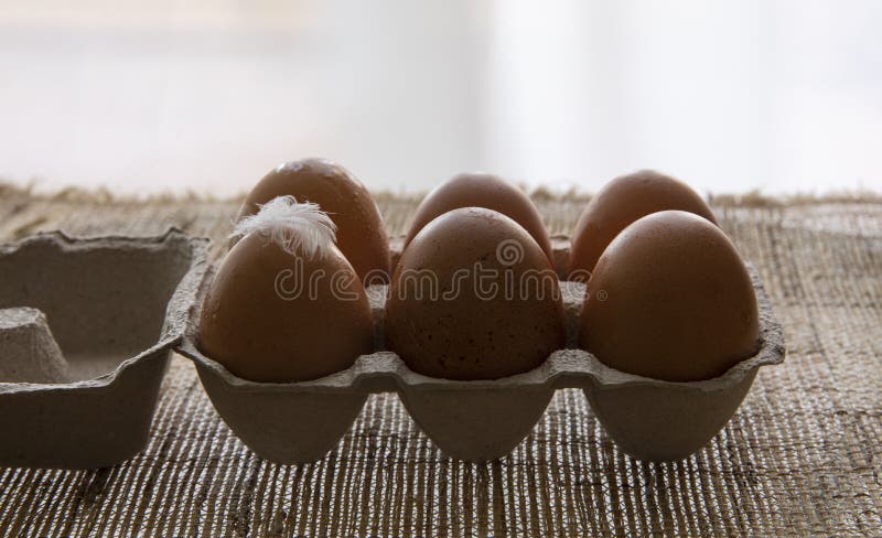 455 Ordinary Eggs Photos - Free & Royalty-Free Stock Photos from Dreamstime