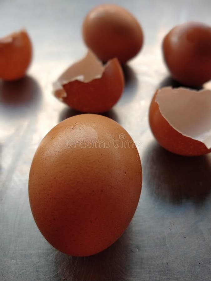 Egg stock photo. Image of round, outstanding, depth - 144872062