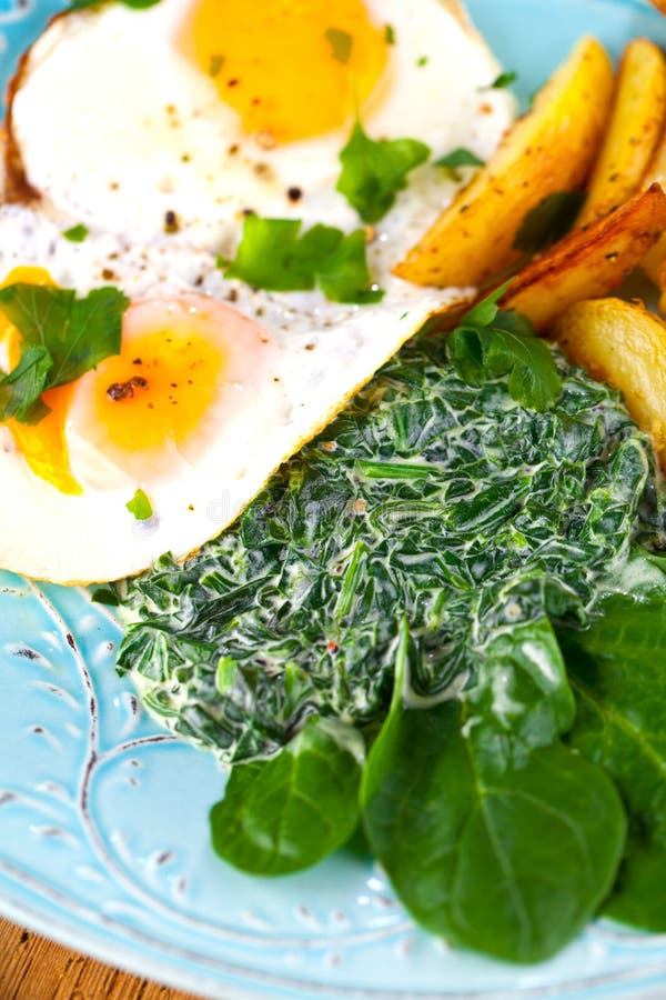 Egg Over Boiled Spinach on Blue Plate. Stock Image - Image of pine ...