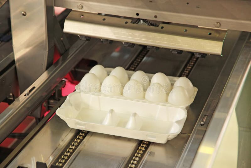 Egg packaging technology stock photo. Image of industry - 20987834