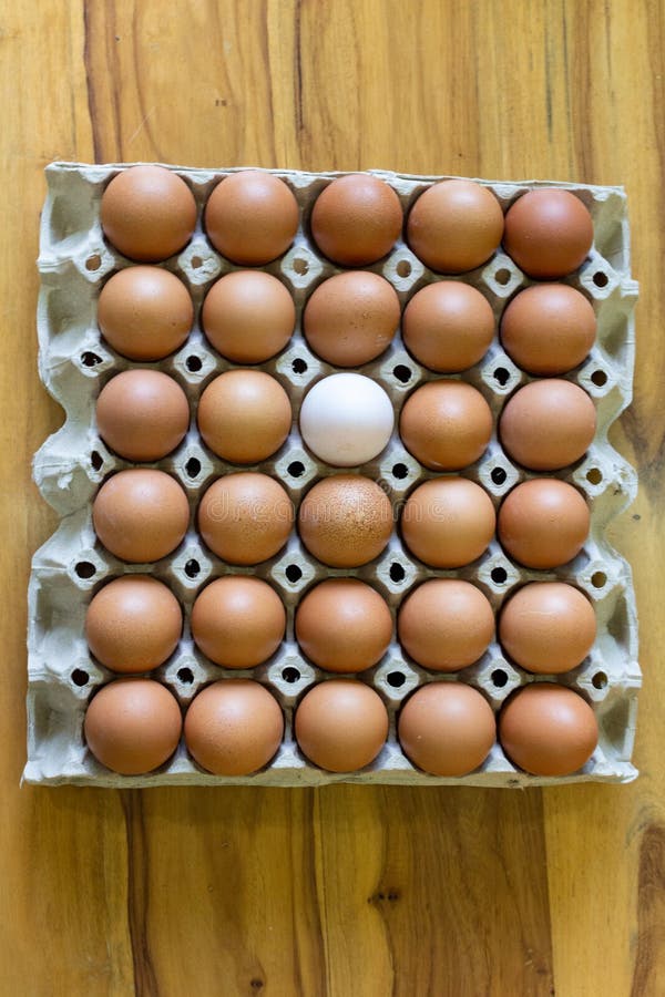 Egg Panel Egg Duck Food Shell Fresh Brown Stock Photo - Image of carton ...
