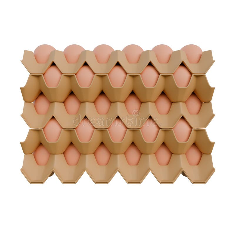 Egg Paper Tray Front View stock illustration. Illustration of paper ...
