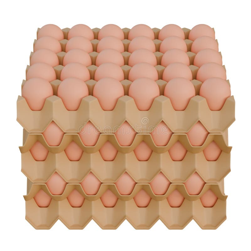 Egg Paper Tray Top View stock illustration. Illustration of three ...