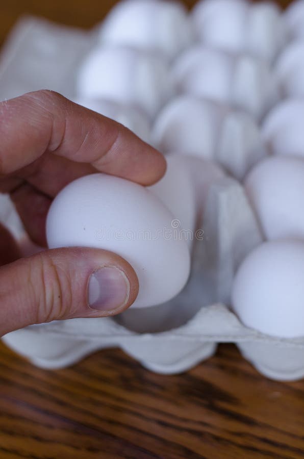 Egg picked by hand stock image. Image of farm, grab - 115086981