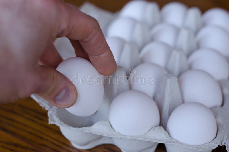 Egg picked by hand stock photo. Image of caucasian, christmas - 115086980
