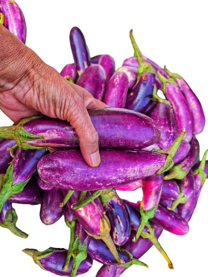 Egg Plant Photographed Closeup with Background Removed Stock Image ...
