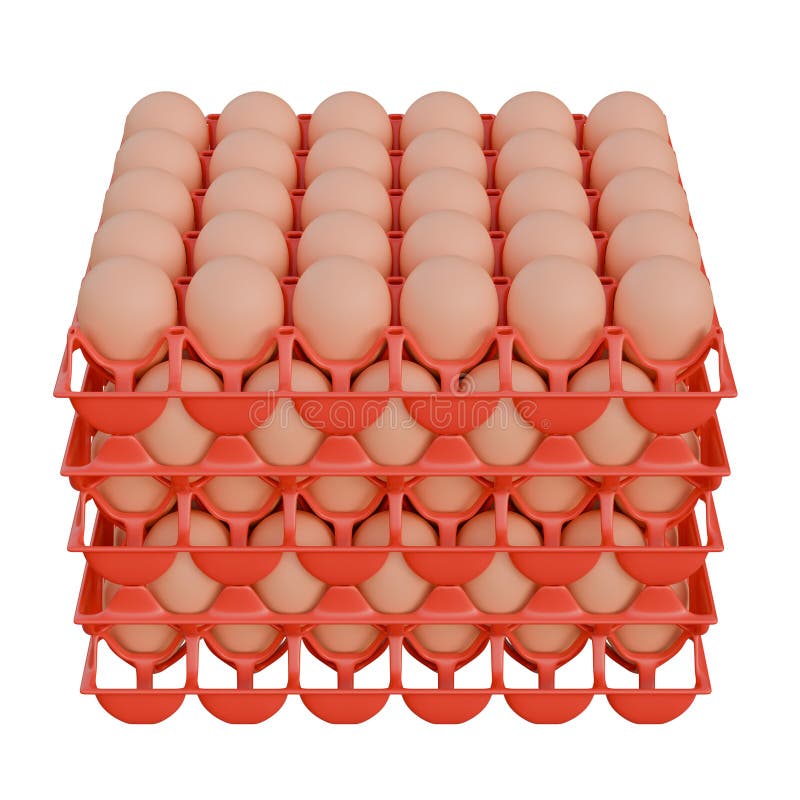 Egg Plastic Tray Top View stock illustration. Illustration of plastic ...