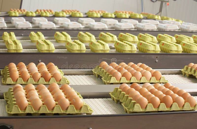 Egg production stock image. Image of construction, chicken - 61357969