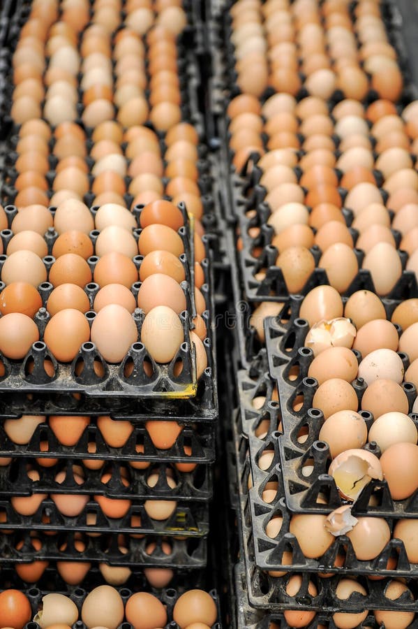 Egg rack stock image. Image of meal, cooking, life, fresh - 79774277