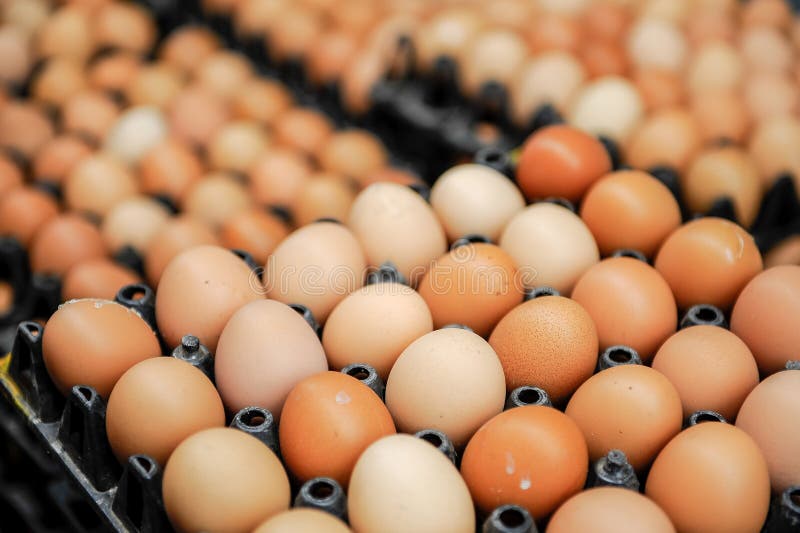 Egg rack stock image. Image of object, breakfast, life - 79774285