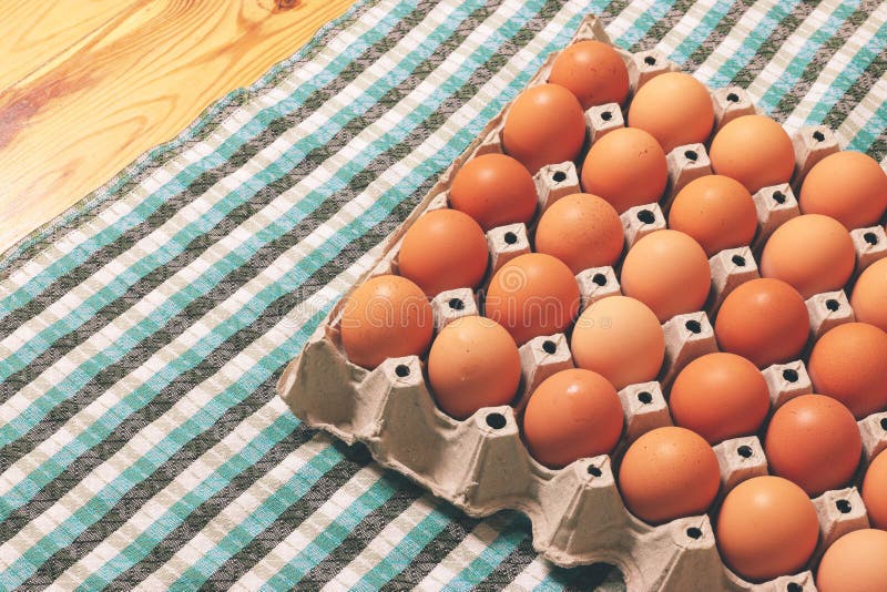 Egg rack stock photo. Image of cooking, breakfast, life - 51957128
