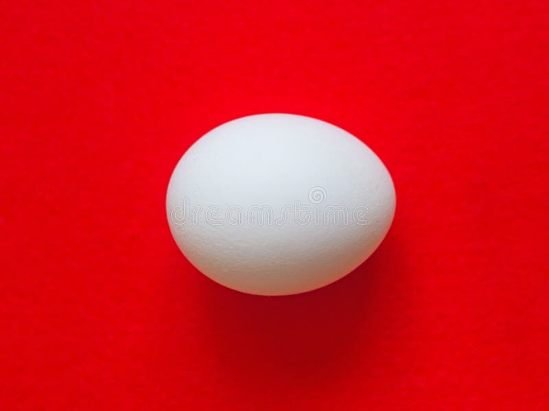 Egg on a red background stock photo. Image of colorful - 172440738