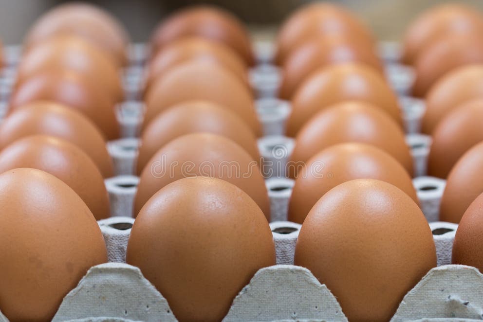 Egg is row stock image. Image of group, cuisine, packaging - 32805583