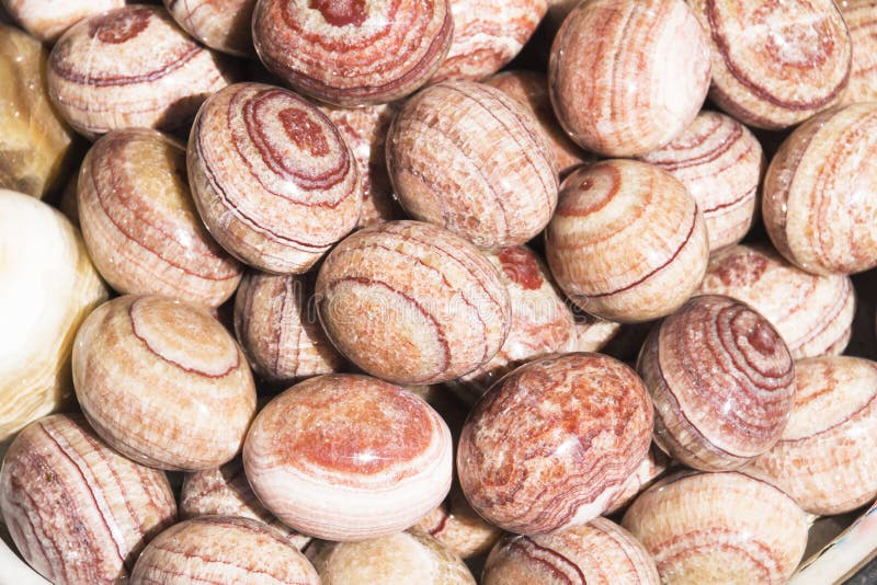 Egg shaped rocks stock image. Image of natural, collection - 47923165