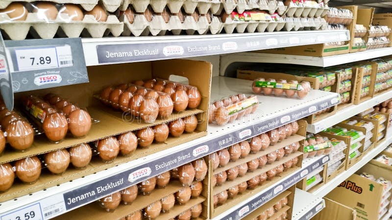 Egg on shelf editorial image. Image of package, farm - 114870390