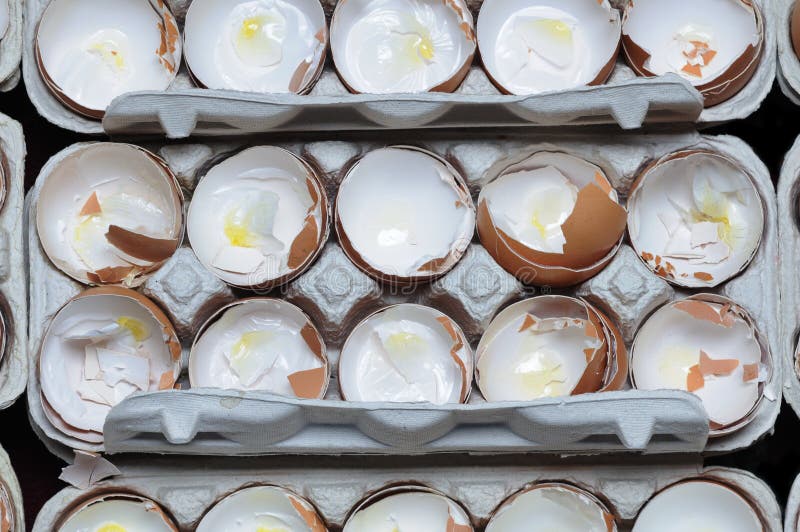 Egg-shell. stock photo. Image of scraps, calcium, carton - 11995422