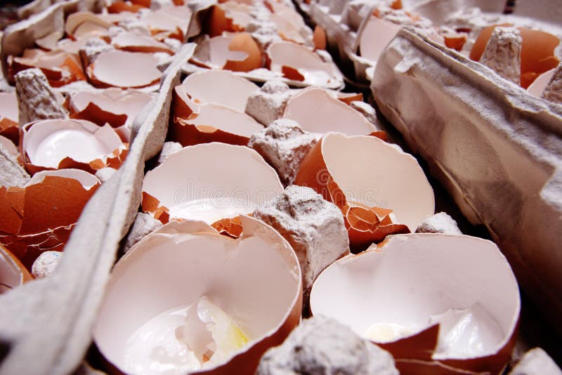 Egg-shell. stock photo. Image of calcium, empty, brown - 11995532