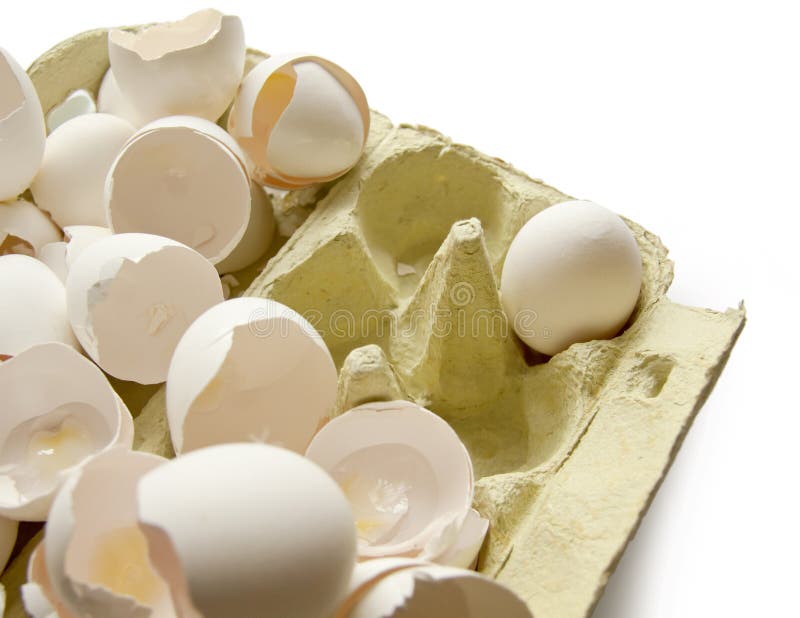 Egg and shell stock photo. Image of fragile, eggs, breakfast - 22249938