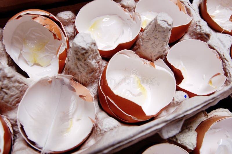 Egg-shell. stock photo. Image of scraps, empty, fragile - 23900144