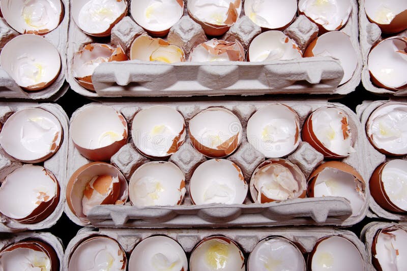 Egg-shell. stock image. Image of used, broken, brown - 23900151