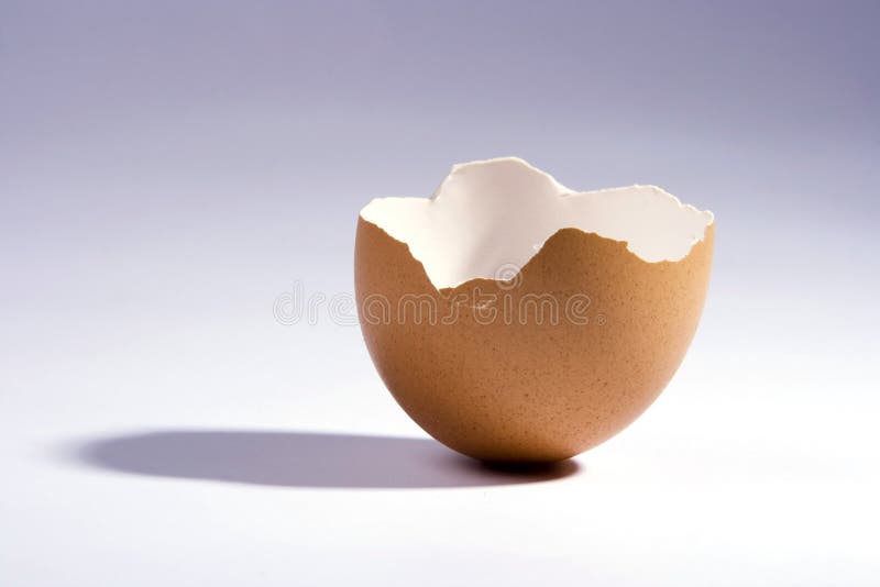 Egg Shell stock photo. Image of food, shell, life, vitality - 2930714