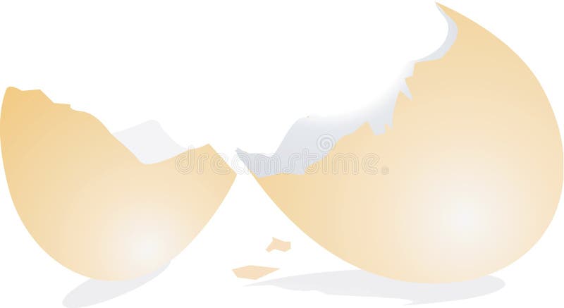 Egg Shell Picture. Image: 3564796