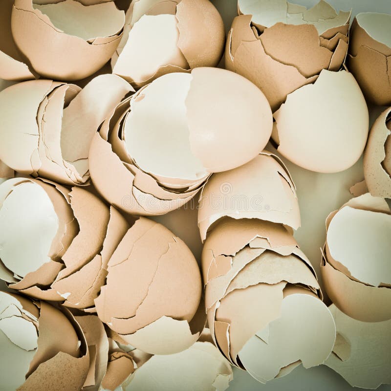 Egg shell stock image. Image of closeup, crack, group - 41963315