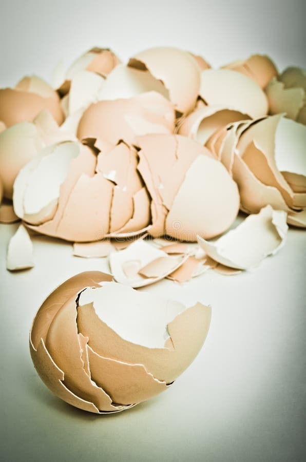 Egg shell stock image. Image of crack, life, eggshell - 41963319