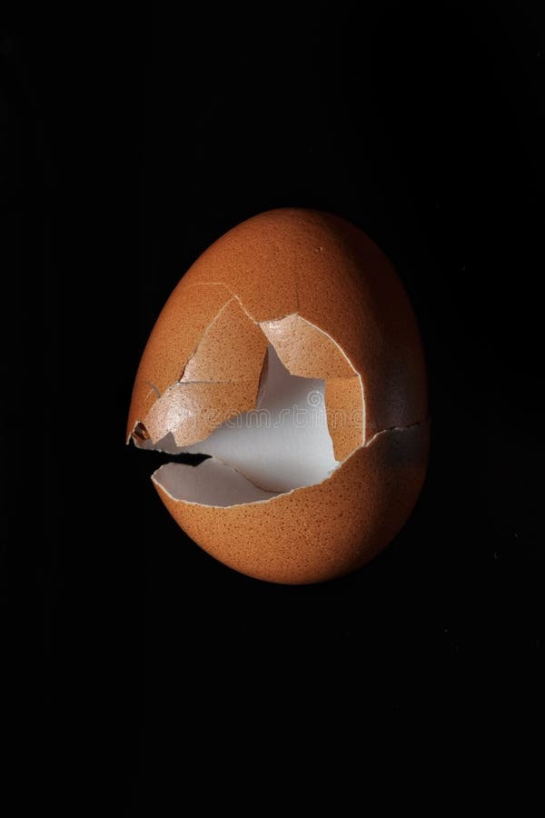 Egg Shell On Black Background Stock Photo - Image of fragile ...