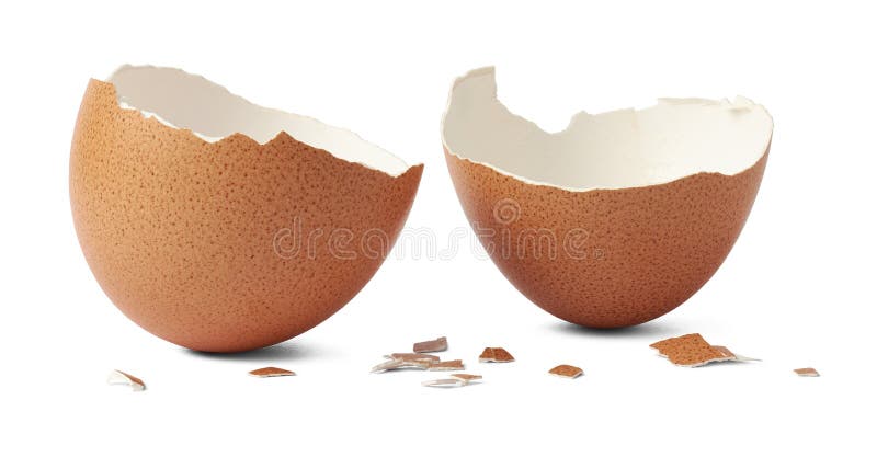 Egg Shell Broken or Crack Isolated Stock Photo - Image of animal, crush ...