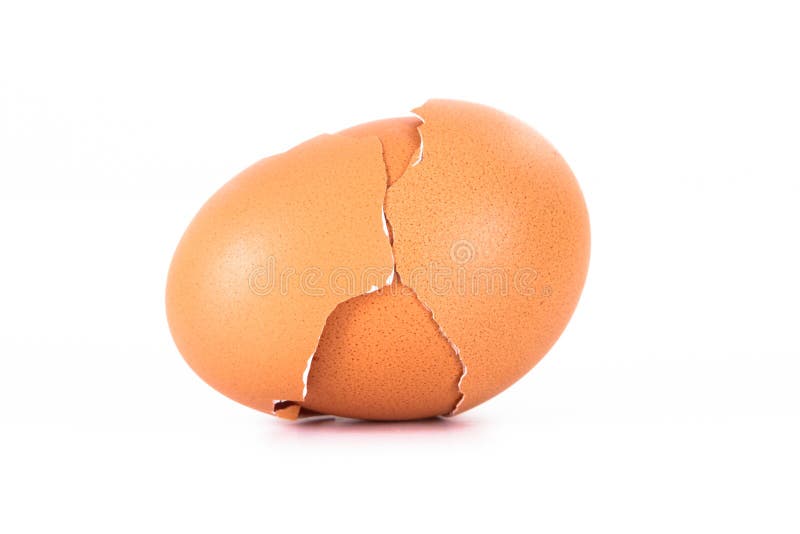 378 Normal Egg Photos - Free & Royalty-Free Stock Photos from Dreamstime