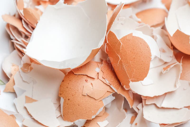 Khaooat - Contributor Profile on Dreamstime