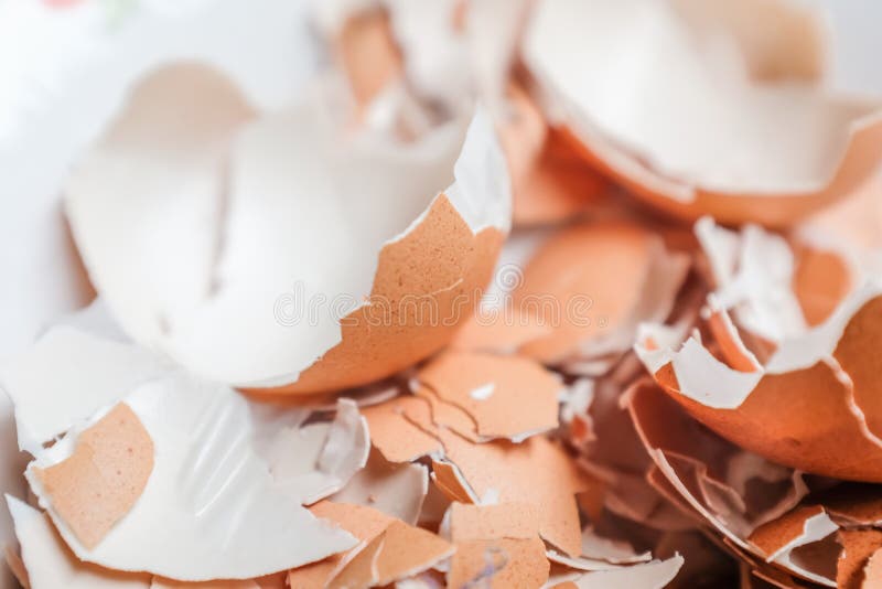 Egg Shell Cracked on White Background Stock Photo - Image of textured ...