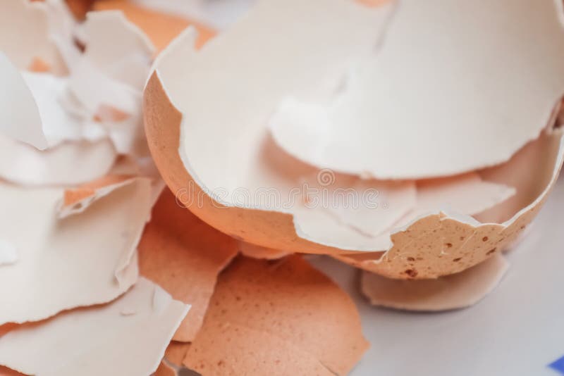 Egg Shell Cracked on White Background Stock Photo - Image of closeup ...