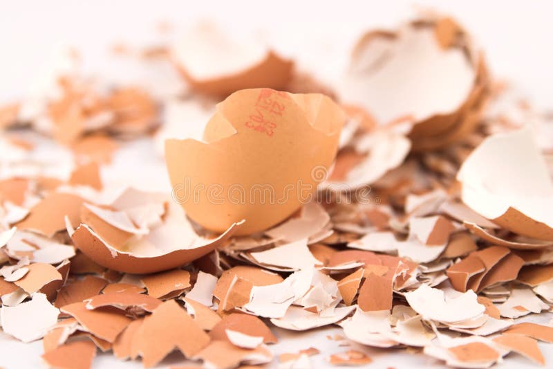 Egg Shell Crashed Close stock photo. Image of date, piece - 582618
