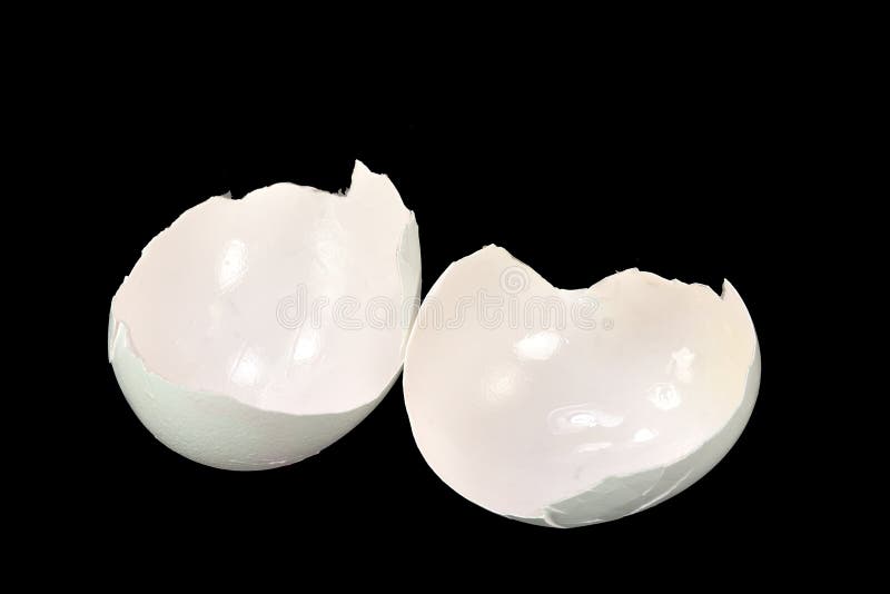 Egg shell stock photo. Image of shell, empty, food, open - 38526046