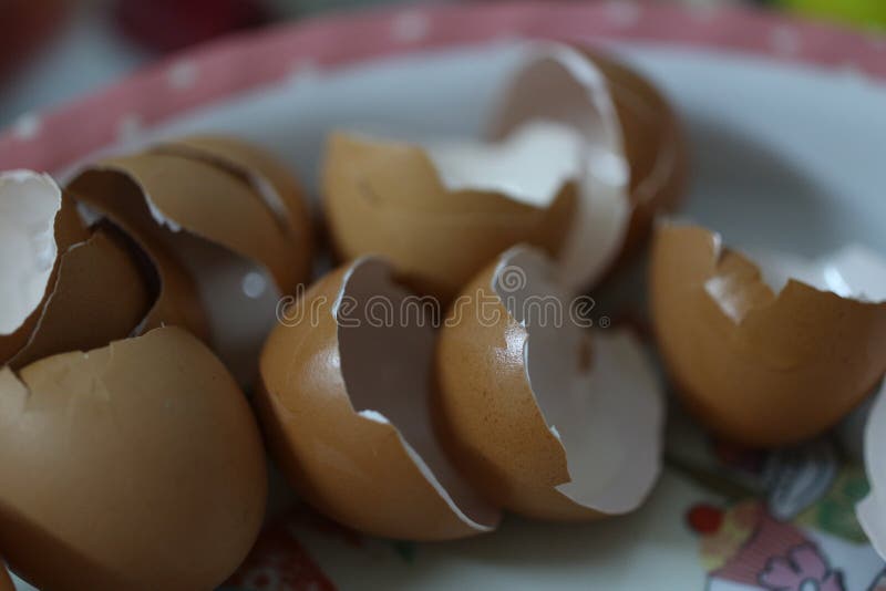 The Egg Shell that is Left from Cooking is on the Plate. Stock Photo ...