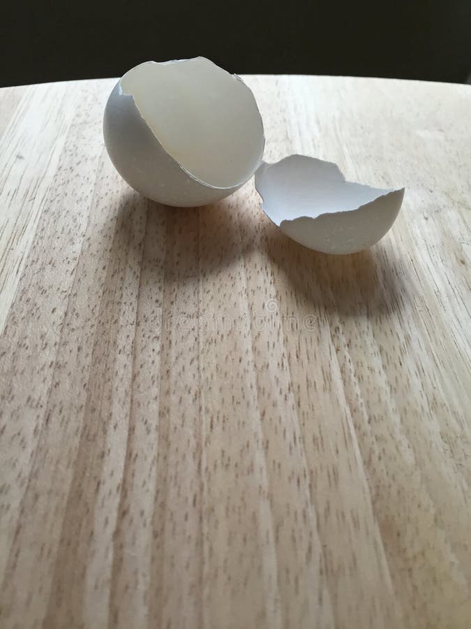 Egg_Shell stock photo. Image of cracked, hatched, hatch - 58677518