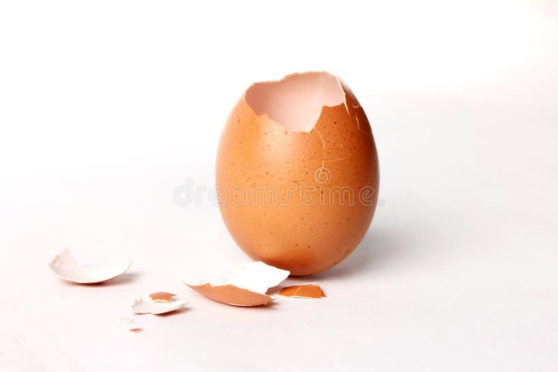 Egg shell opening. stock image. Image of break, accident - 34764233