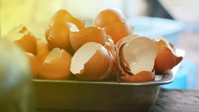 The egg shell is recycled. stock photo. Image of cutting - 139923694